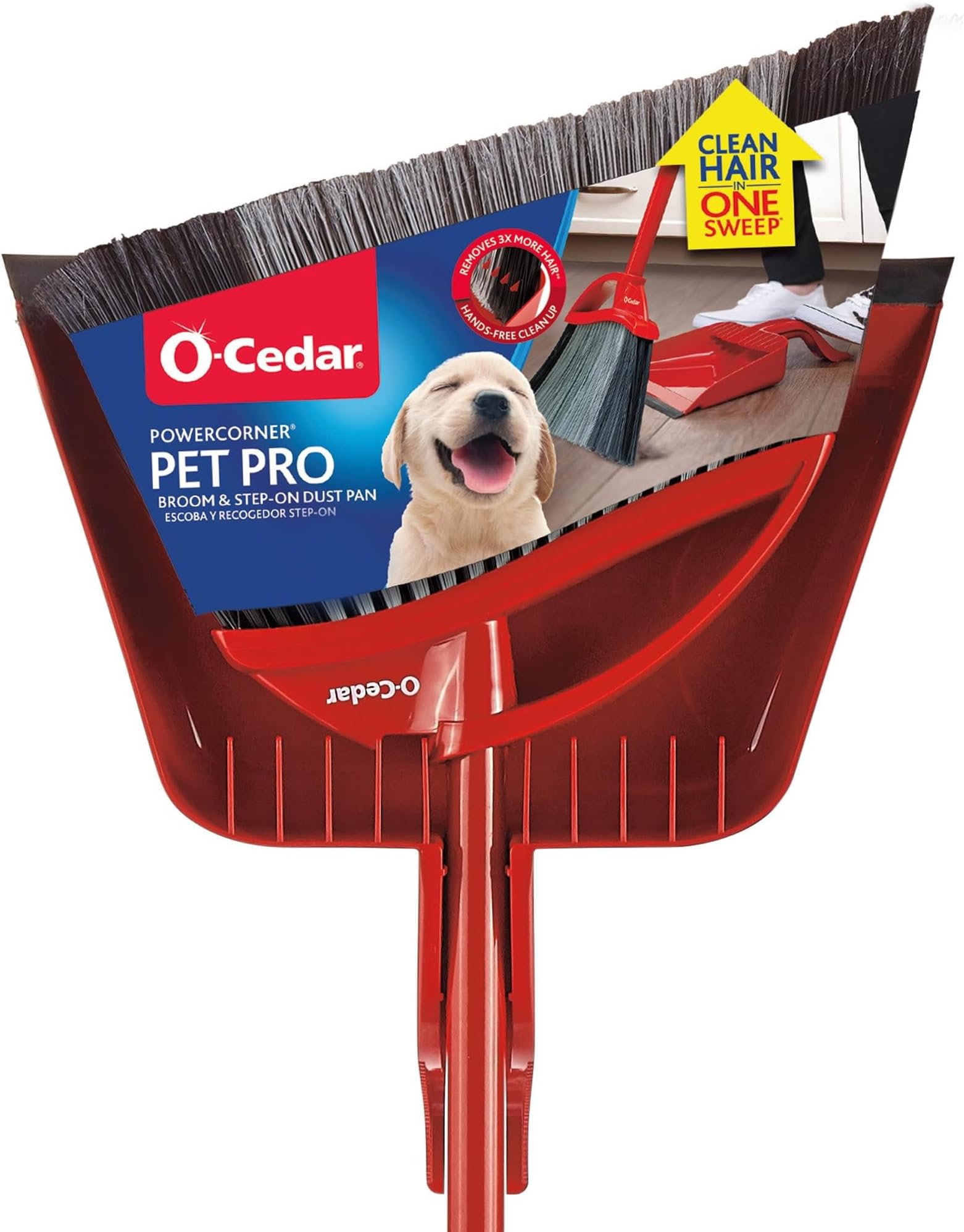 Amazon.com: Rocky Mountain Goods Small Broom for Kids and Toddlers ...