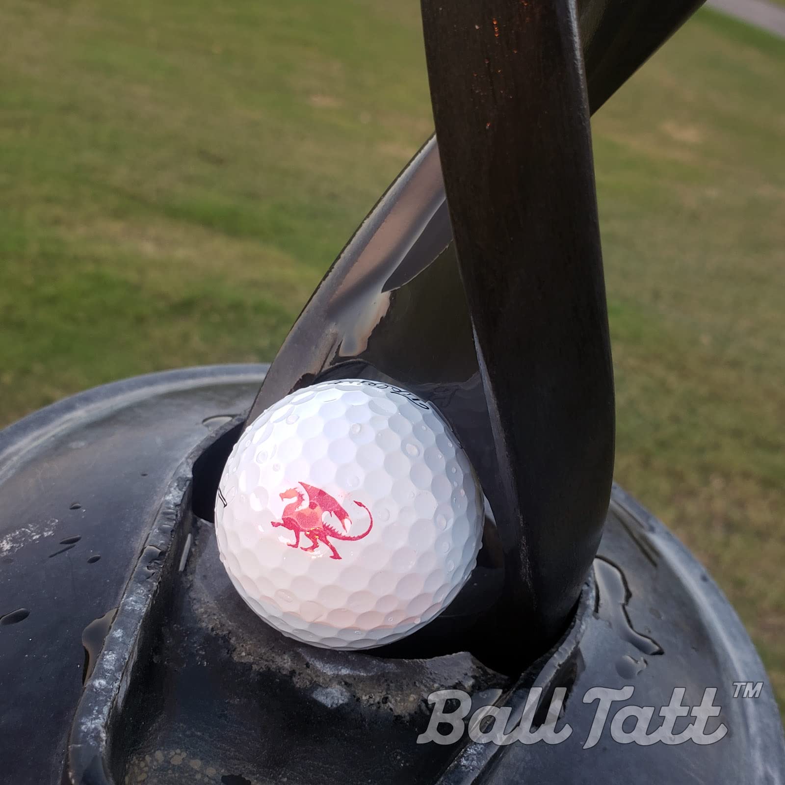Snapklik.com : Ball Tatt - Golf Ball Stamp, Self-Inking Marker - Quick ...