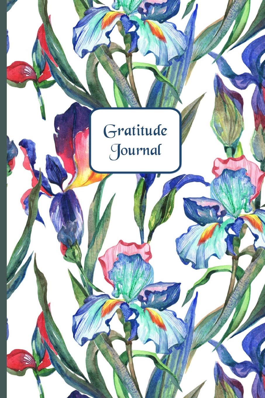 Gratitude Journal: Gorgeous full color Floral Theme illustrated ...