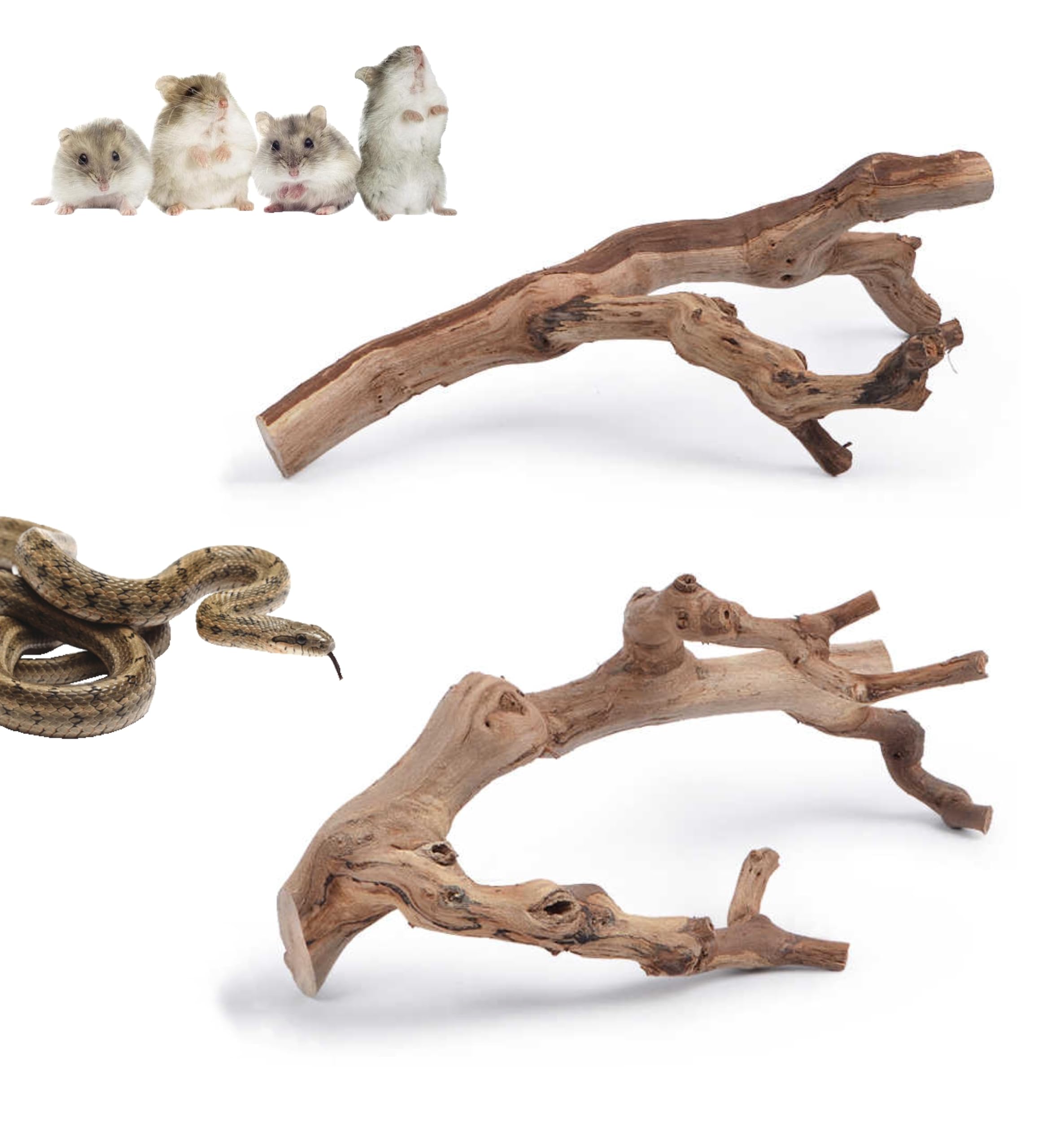 Amazon.com : YZHZOM 2pcs Natural Reptile Wood Branches Snake Climbing ...