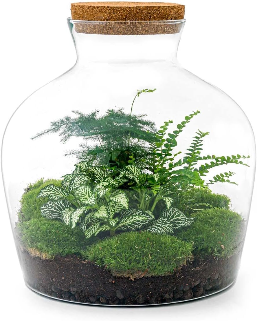 Glas Fur Flaschengarten