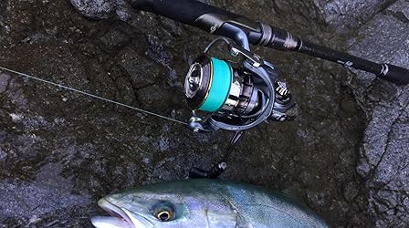 Amazon | アルファタックル(alpha tackle) トラギア(Trgr) ロッド TIPTOP ティップトップ S906H | アルファタックル(alpha tackle) | ジ ...