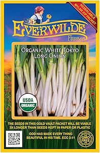 Amazon.com: Everwilde Farms - 50 Semillas de Cebolla Larga Blanca ...