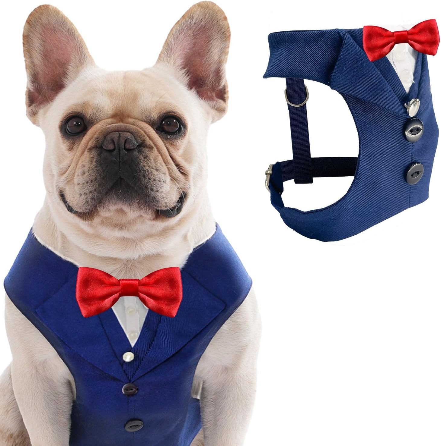 Amazon.com : MIXXXO Dog Tuxedo with Bowtie to Match Your Wedding Outfit ...