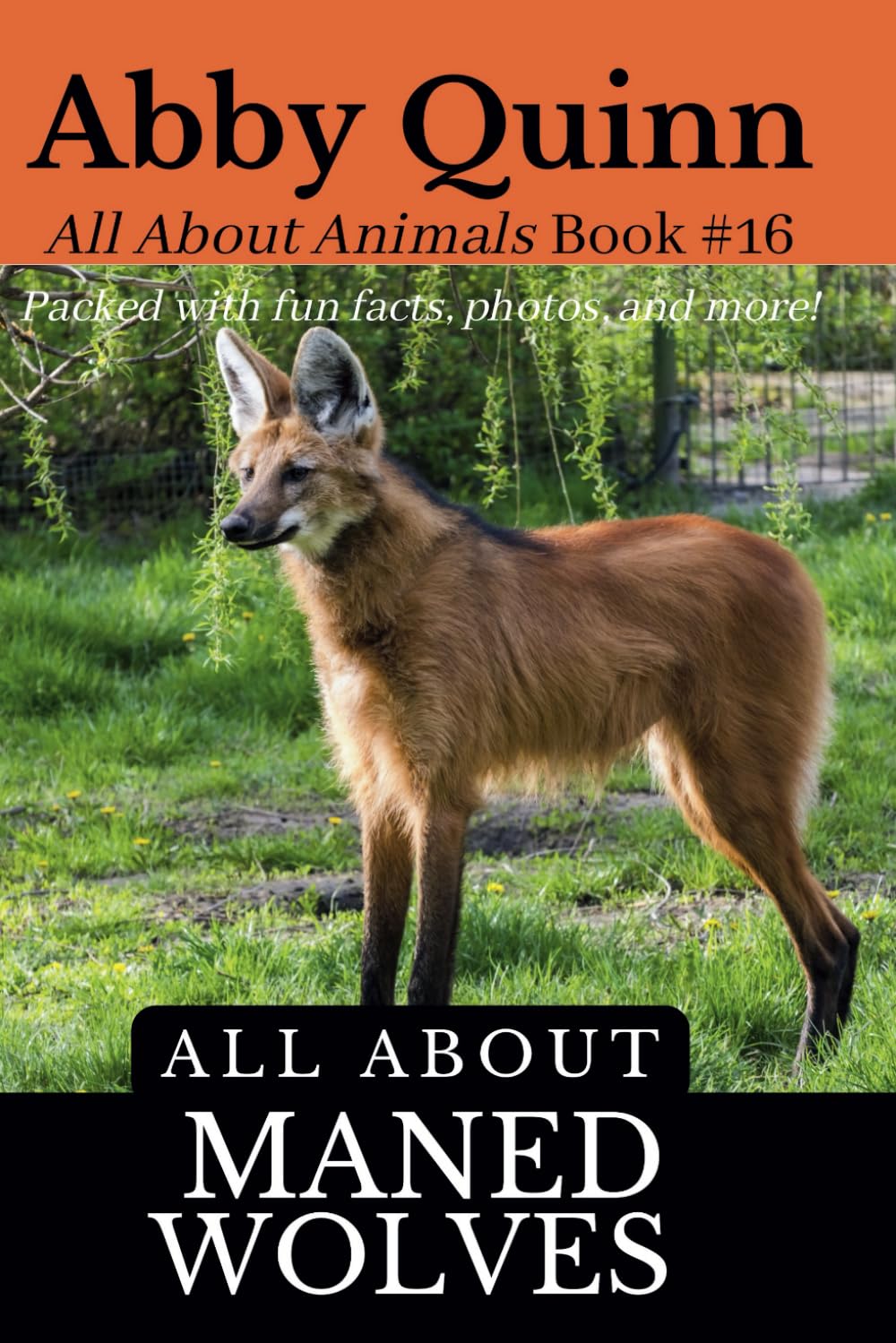 All About Maned Wolves: An Animal Facts Book For Kids (All About ...