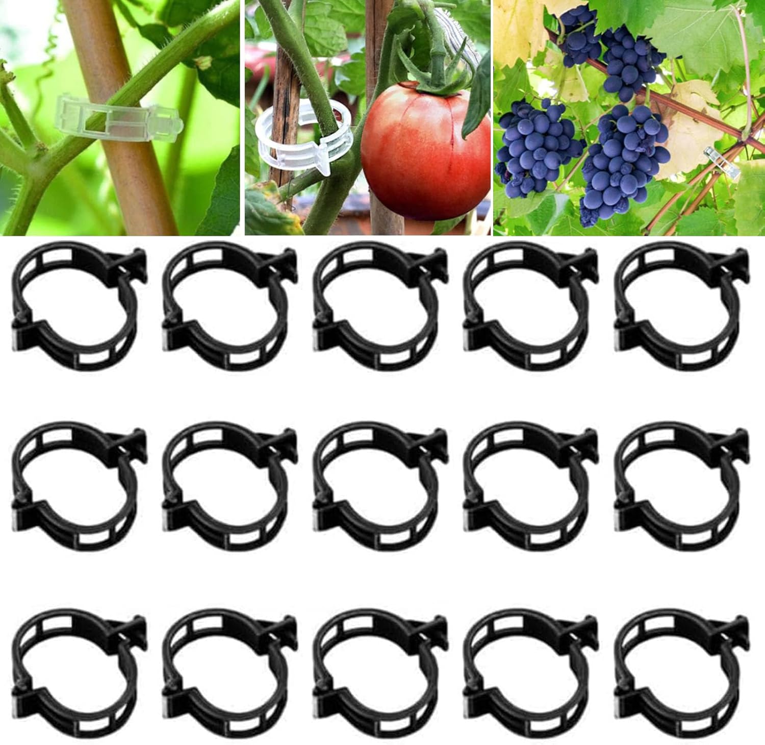 Amazon.com : Plant Support Clips Plant Clips,Plant Clips for Climbing ...