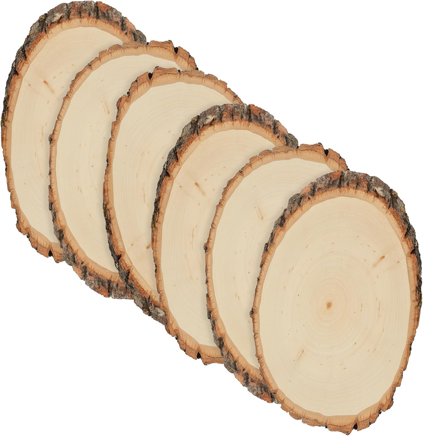 Amazon.com: Walnut Hollow Basswood Round, Small 5-7" Wide with Live ...