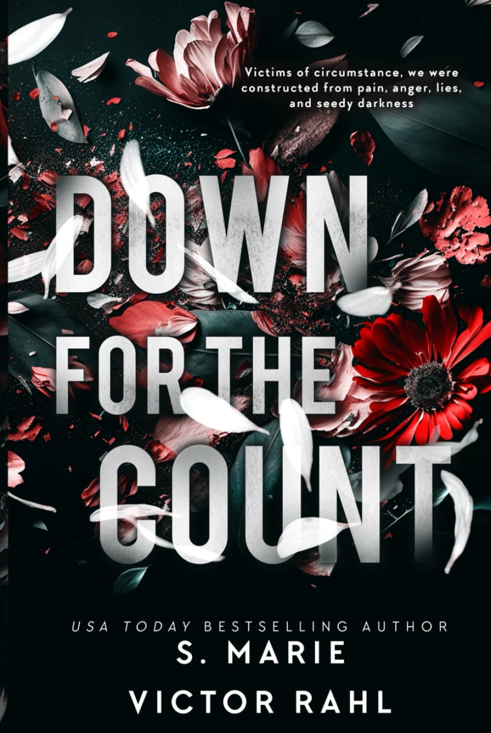 Amazon.com: Down for the Count: 9798989687039: Marie, S., Rahl, Victor ...