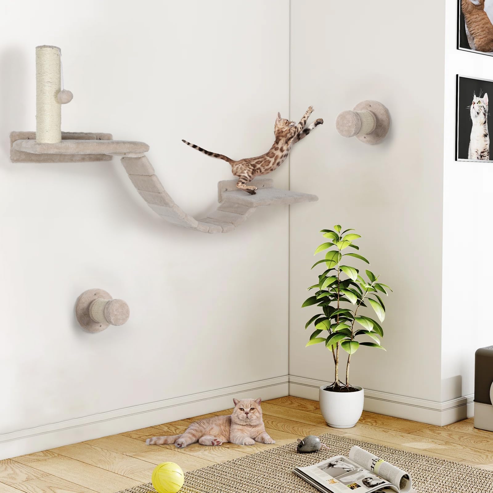HDLKRR Cat Wall Shelves - 7 Pcs Luxury Wall-Mounted Cat Furniture Set ...