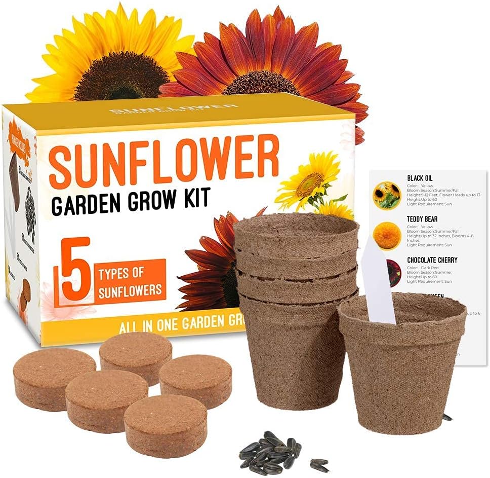 Amazon.com : Sunflower Grow Kit - Grow 5 Different Sunflowers 22 Piece ...