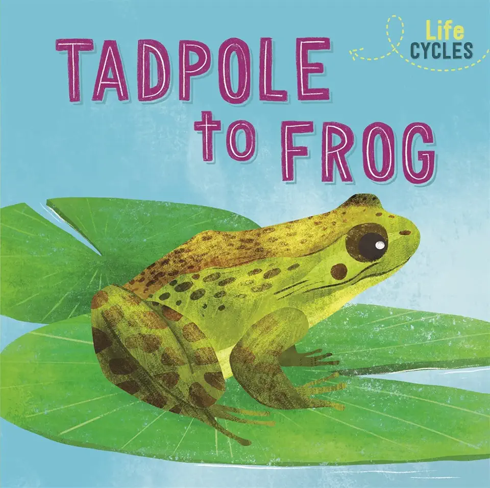 Understanding The Life Cycle Of Toads: From Tadpoles To Adult Toads ...