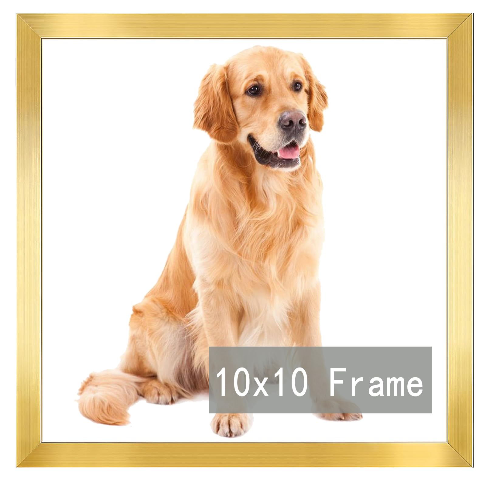 Amazon.com - RUN HELIX 10x10 Picture Frame for Square Photo Poster ...