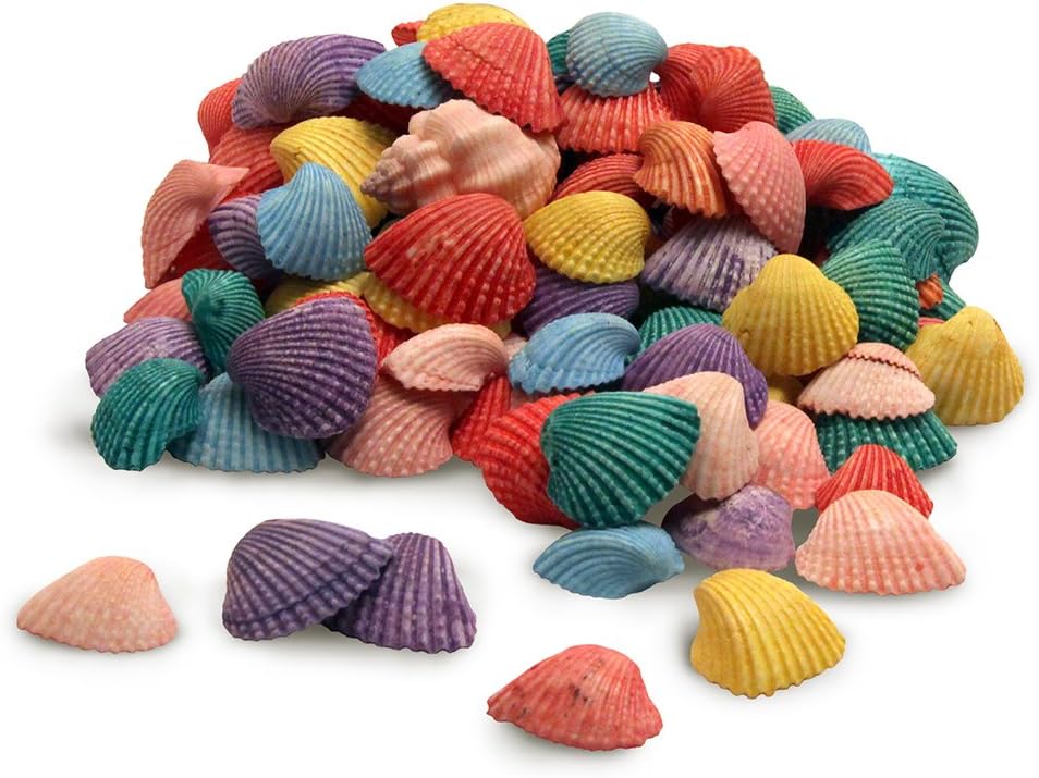 Amazon.com: Hygloss Products Multi Colored Craft Shells – Mixed Bucket ...
