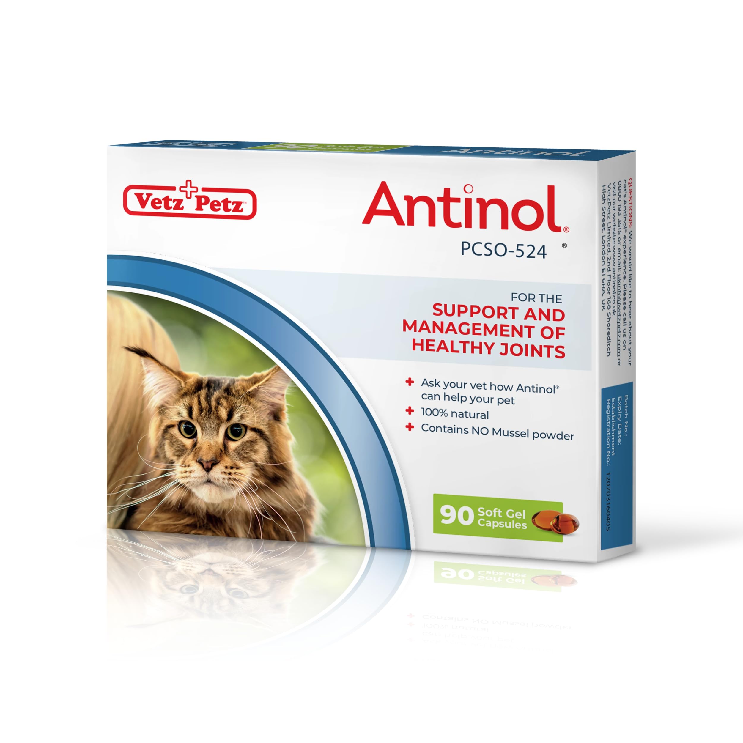 Antinol - Natural Joint Supplement for Adult Cats - Supports Joint ...