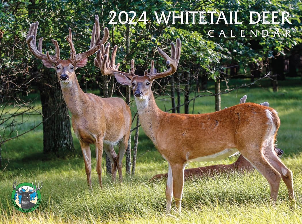 Amazon.com: 2024 Whitetail Deer Wall Calendar : Office Products