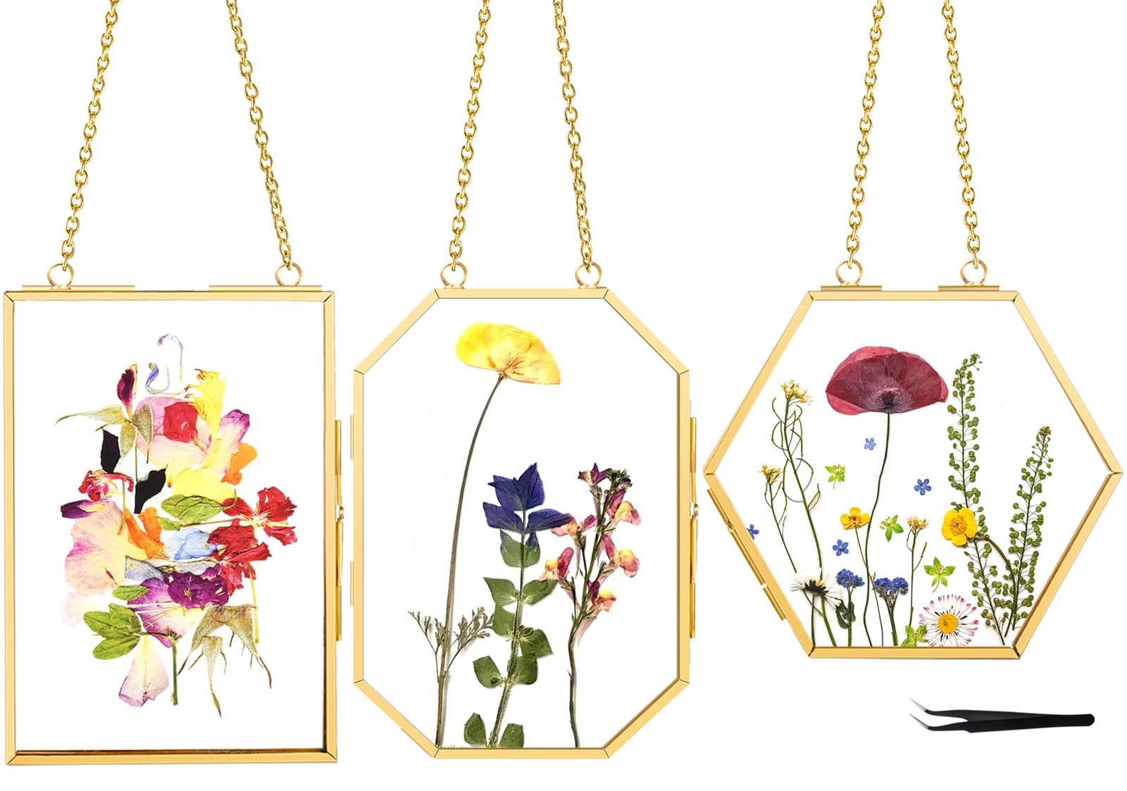 Amazon.com - FOCHIER F 3 Pcs Pressed Flower Frames with Tweezers, Wall ...