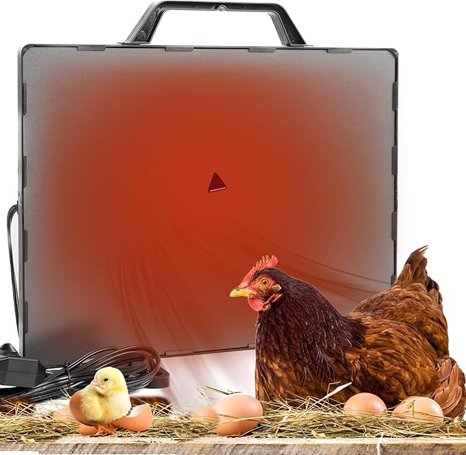 Amazon.com: Choies Chicken Coop Heater,Radiant Heat Energy Efficient ...