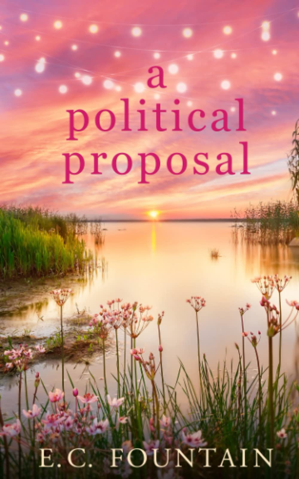 Amazon.com: A Political Proposal: 9781977673930: Fountain, E. C.: Books