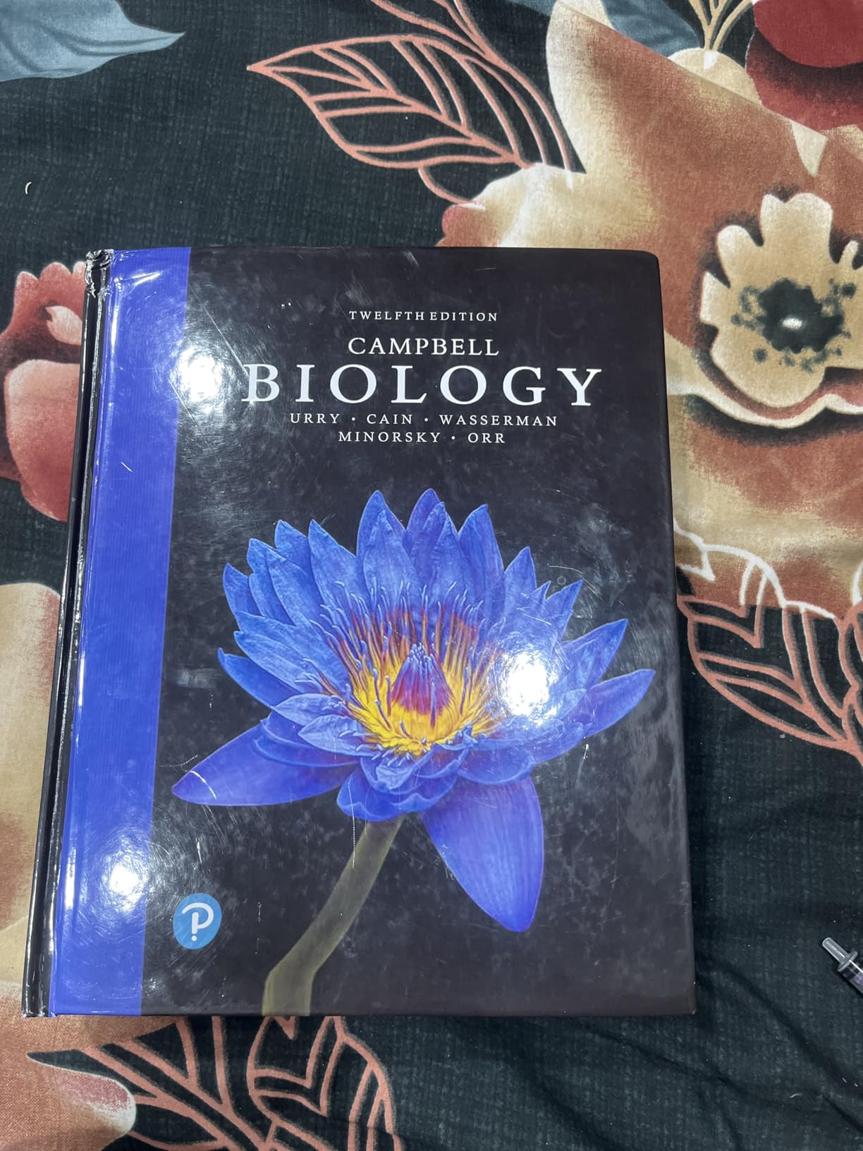 Buy Campbell Biology 12th Edition Book Online at Low Prices in India ...