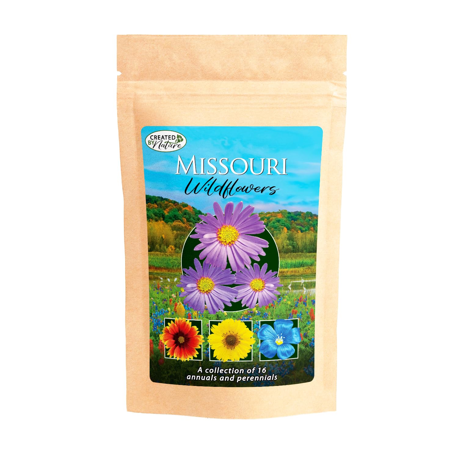 Amazon.com : Missouri Wildflower Seed Mix, Covers 325 Sq Ft, 16 Flower Varieties, Over 40,000 ...