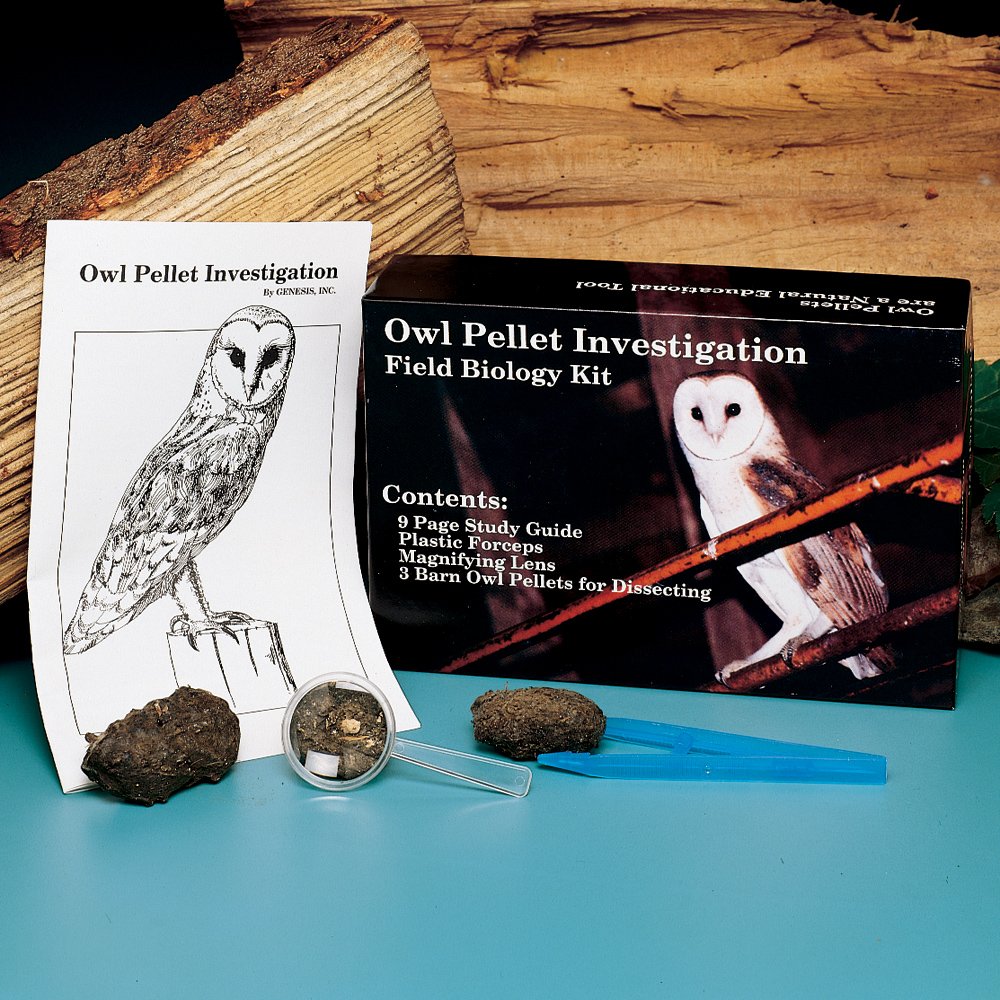 Amazon.com: Owl Pellet Basic Investigation Kit : Toys & Games