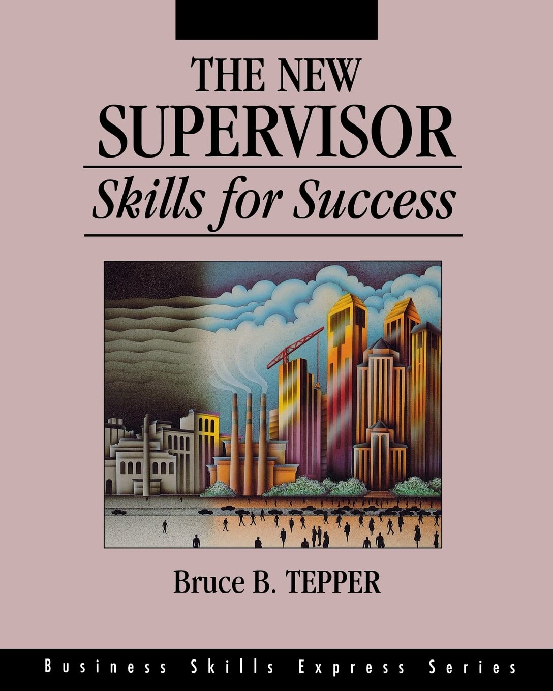 The New Supervisor: Skills for Success (Business Skills Express Series ...