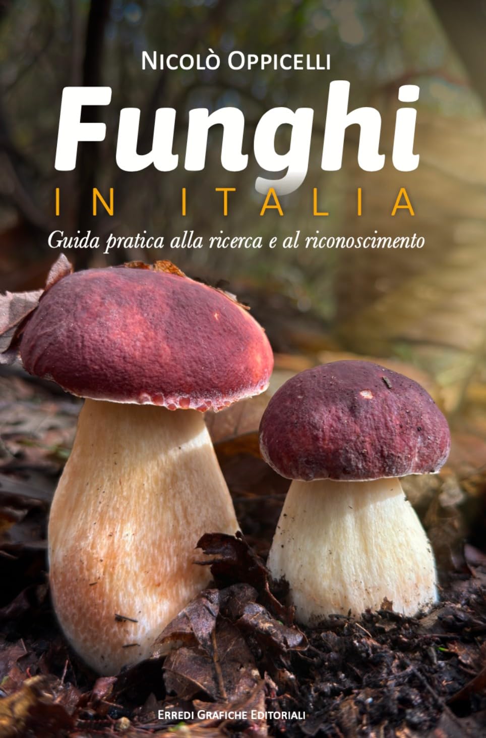 Funghi in Italia. Guida pratica alla ricerca e al riconoscimento ...