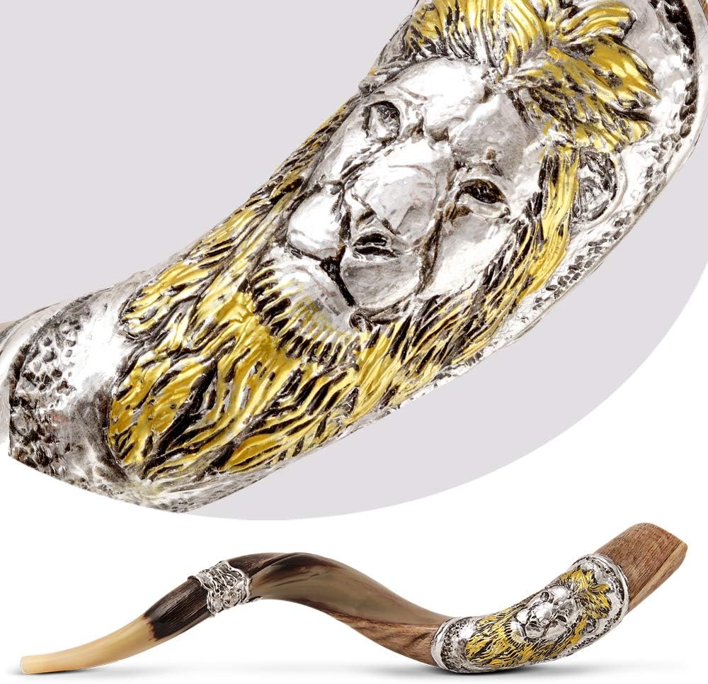 Amazon.com: Original Yemenite Shofar Kosher Polished Quality Israel ...