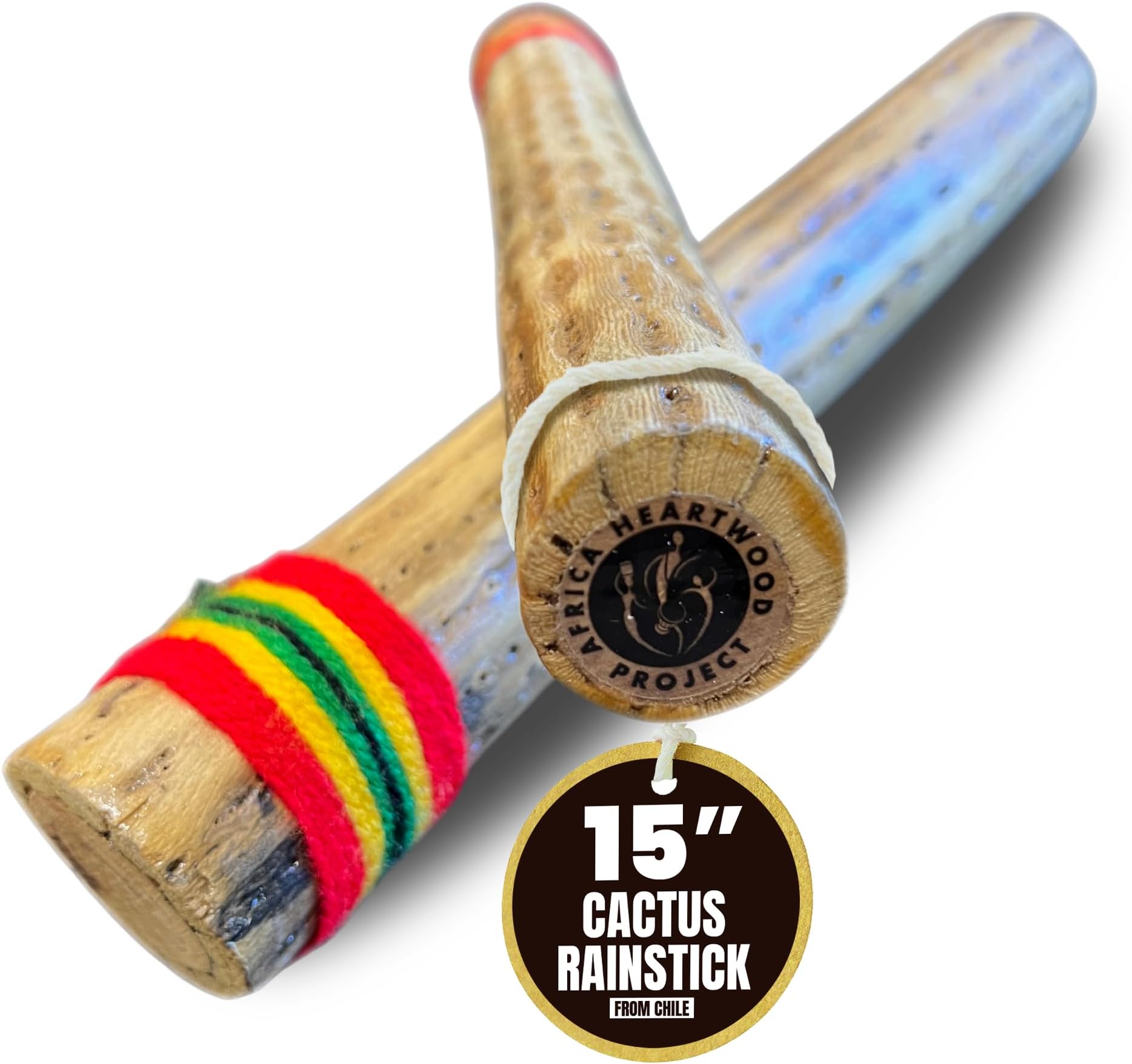 Amazon.com: Rhythm Band RB1216 20-Inch Chilean Rainstick : Musical ...