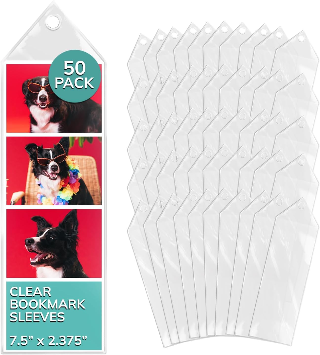 Amazon.com: pbf PHOTO BOOTH FRAMES Vinyl Sleeves for Shutterbooth ...