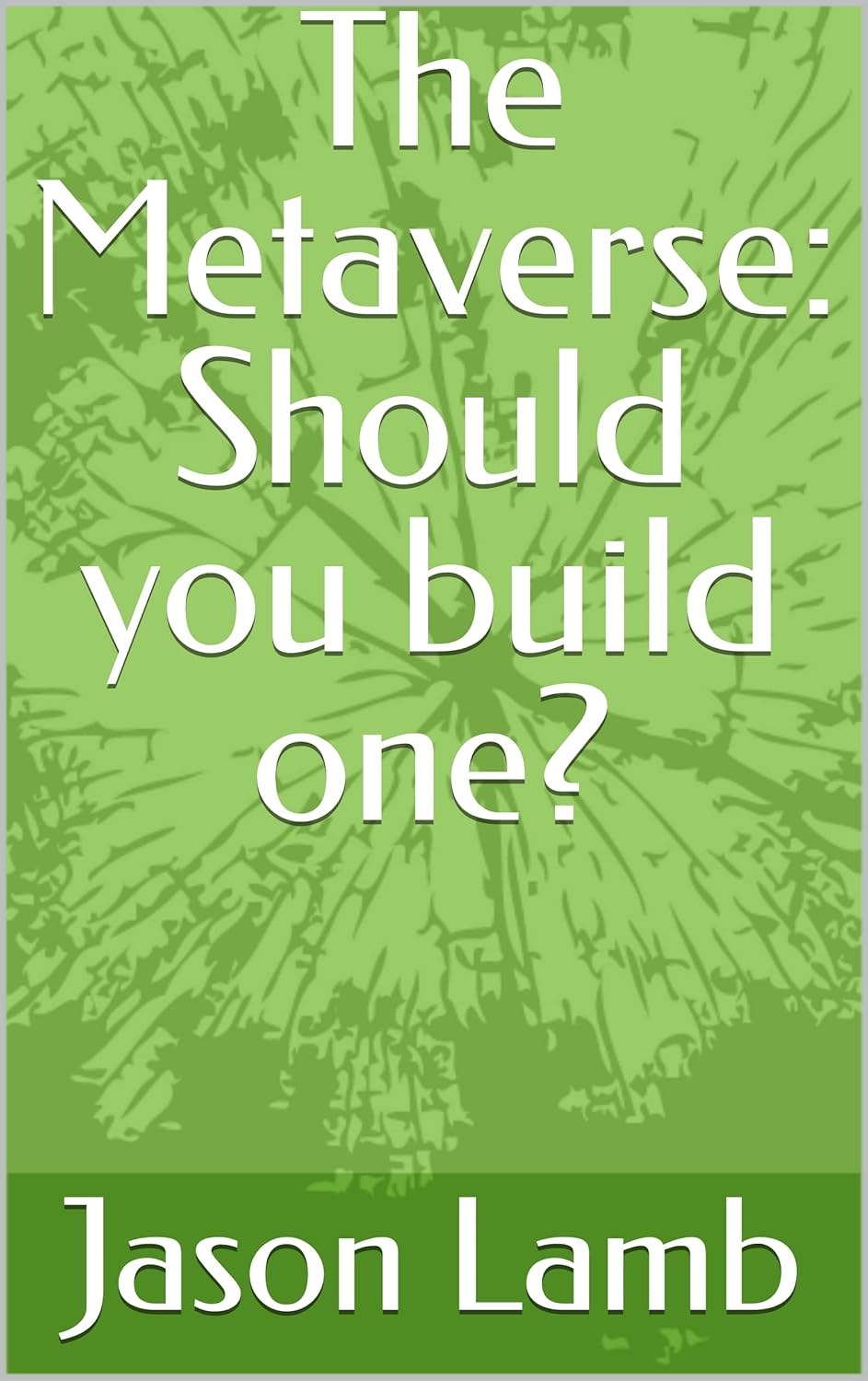 Amazon.com: The Metaverse: Should you build one? (Should you? No. Book ...