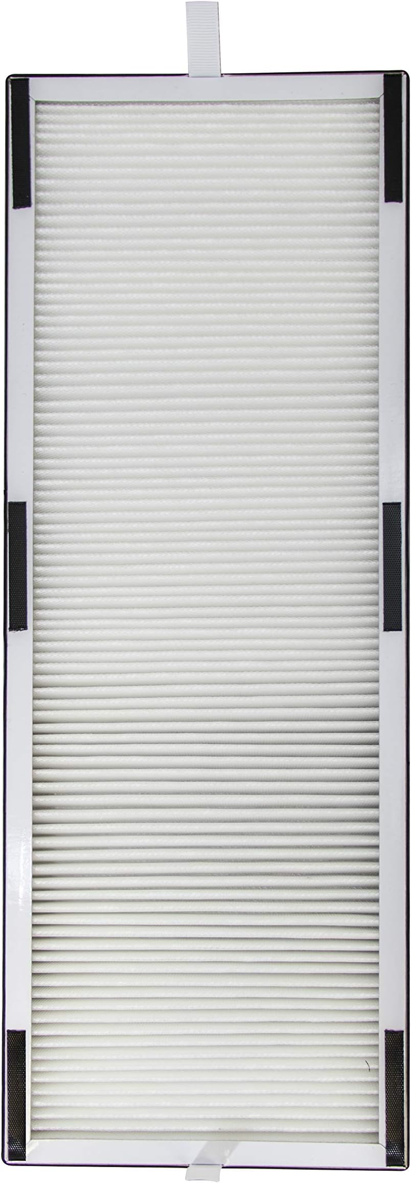 Amazon.com: LivePure True HEPA Replacement LP-HF250 Filter for Sierra ...