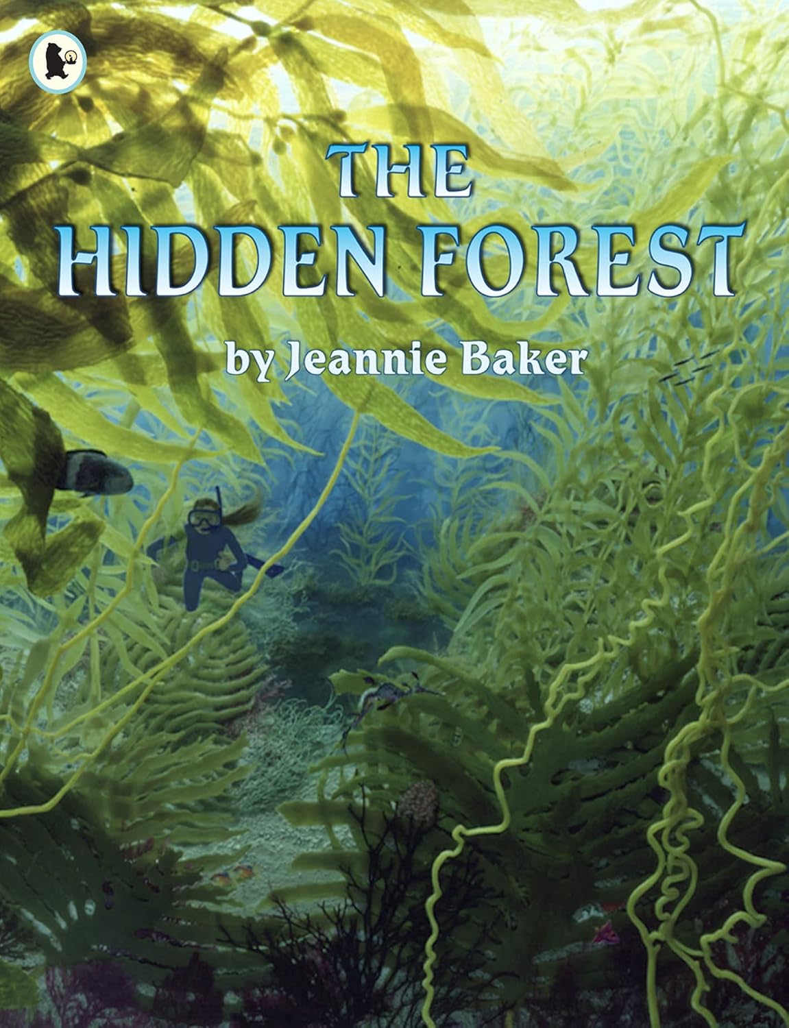 The Hidden Forest : Baker, Jeannie, Baker, Jeannie: Amazon.com.au: Books