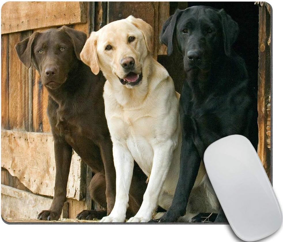 Amazon.com: LQFIWSS Round Mouse Pad Dog Design, Professional Customized ...