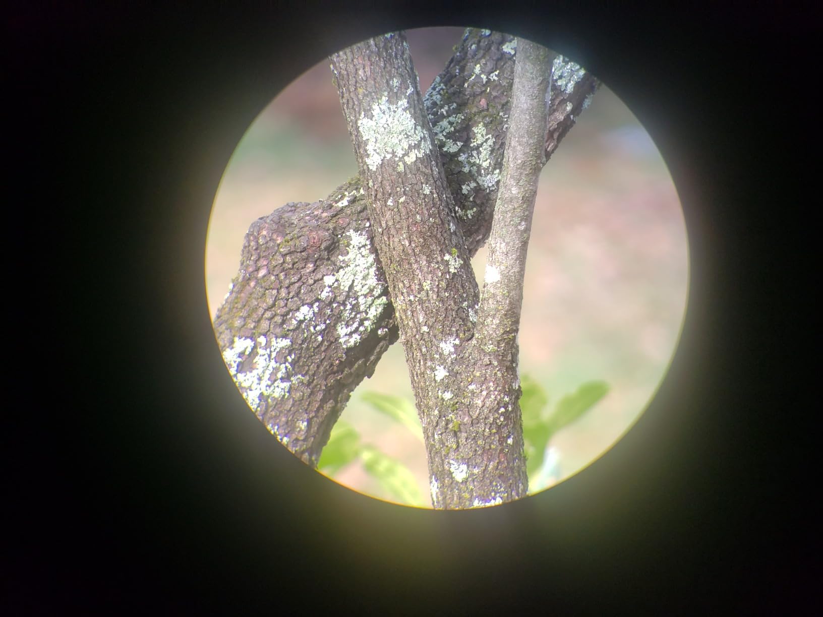 Amazon.com : Celticbird Newest Smartphone Scope Adapter- Phone Mount ...