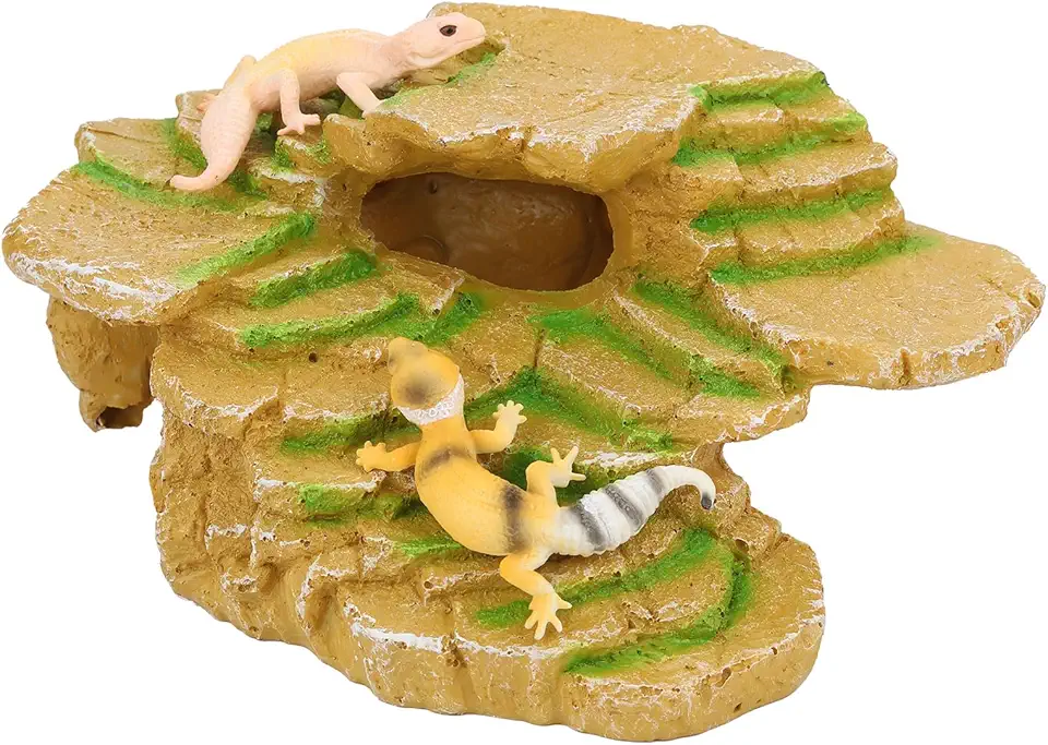 Uncovering The Hiding Spots Of Lizards: Where They Seek Refuge And ...