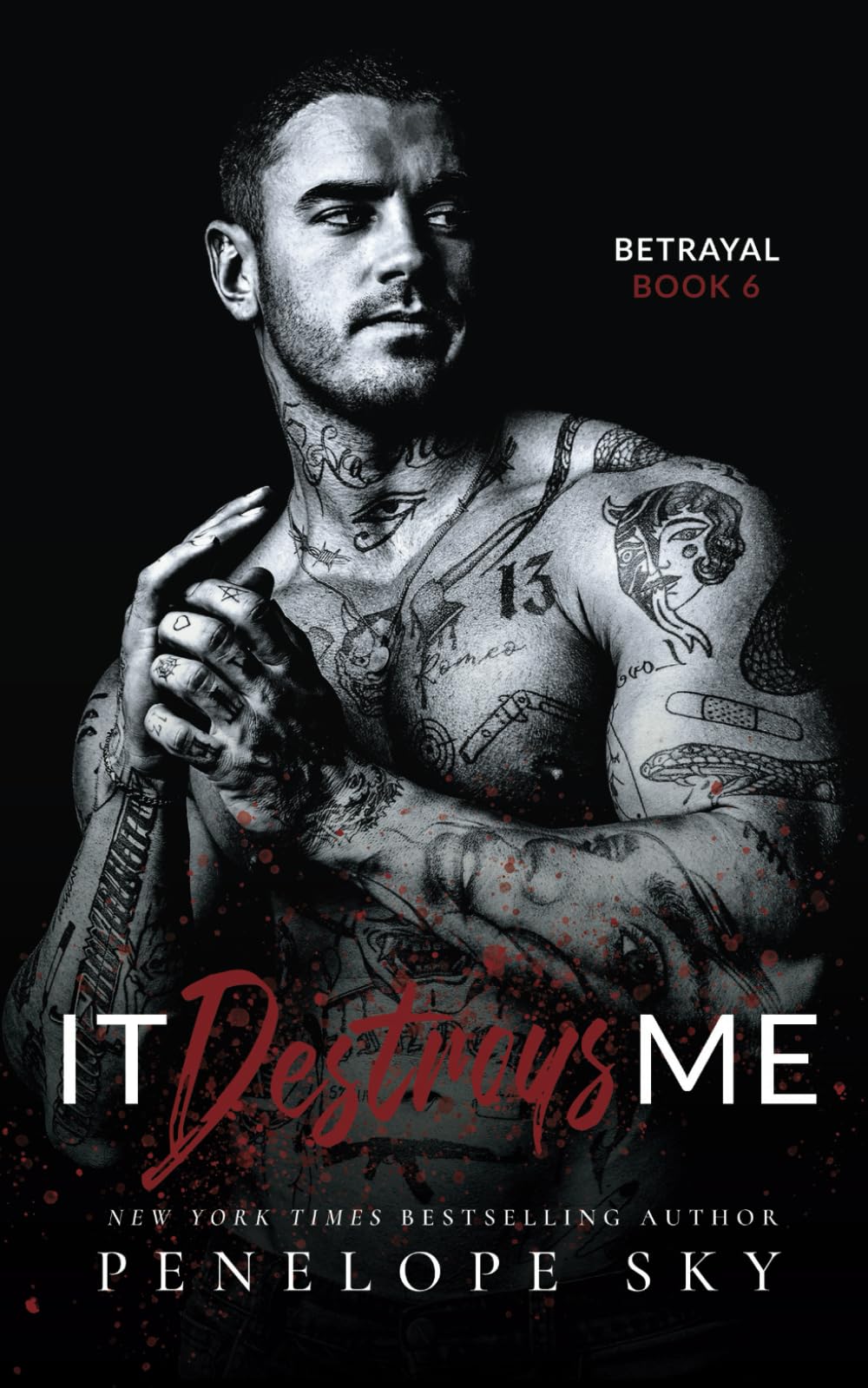 Amazon.com: It Destroys Me: A Forbidden Dark Romance (Betrayal): 9798333543219: Sky, Penelope: Books