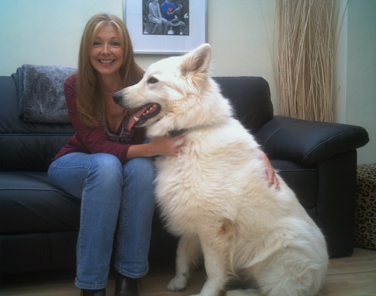 Amazon.co.uk: Di Toft: books, biography, latest update