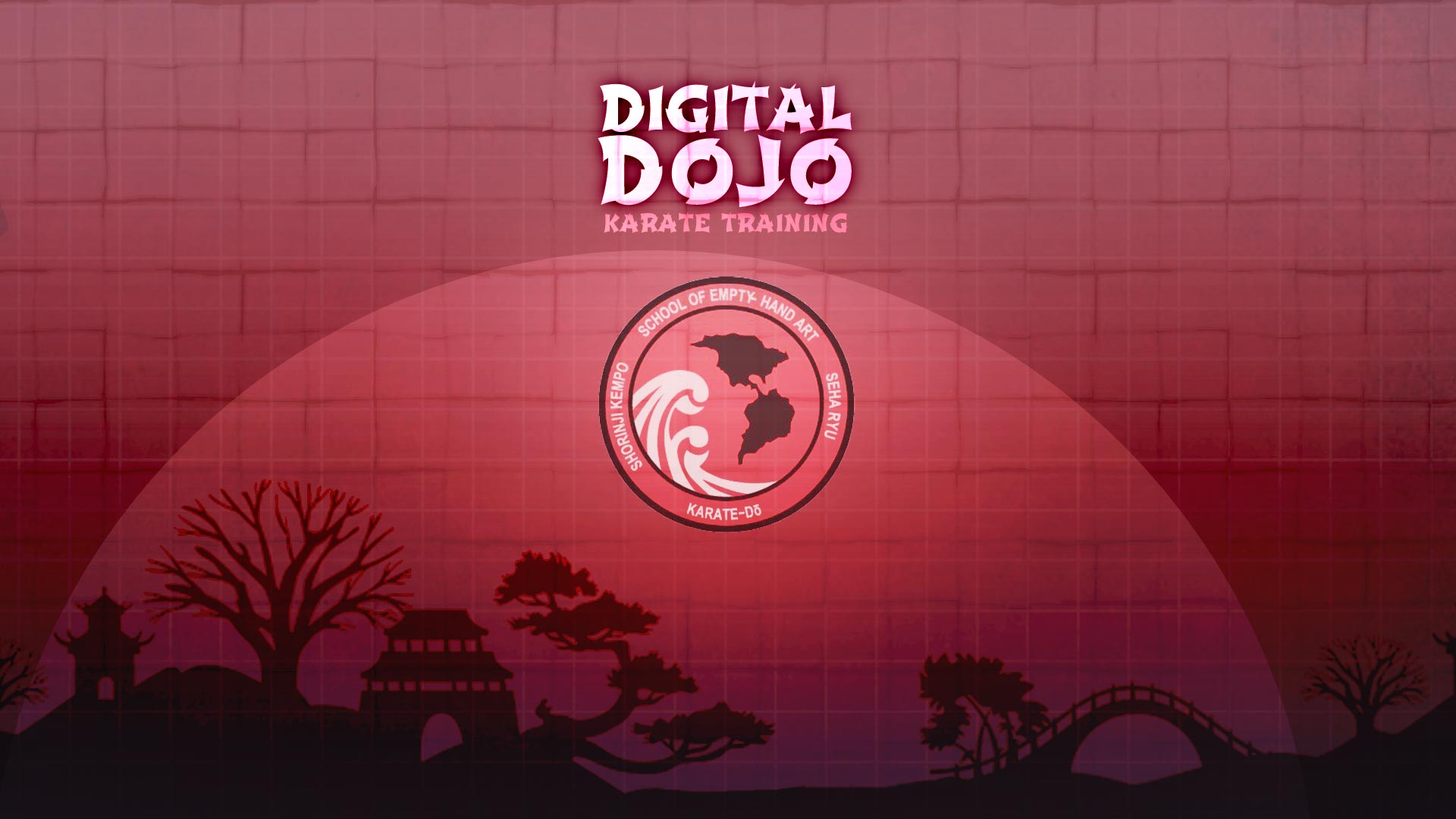 Digital Dojo: Karate Training - App on Amazon Appstore