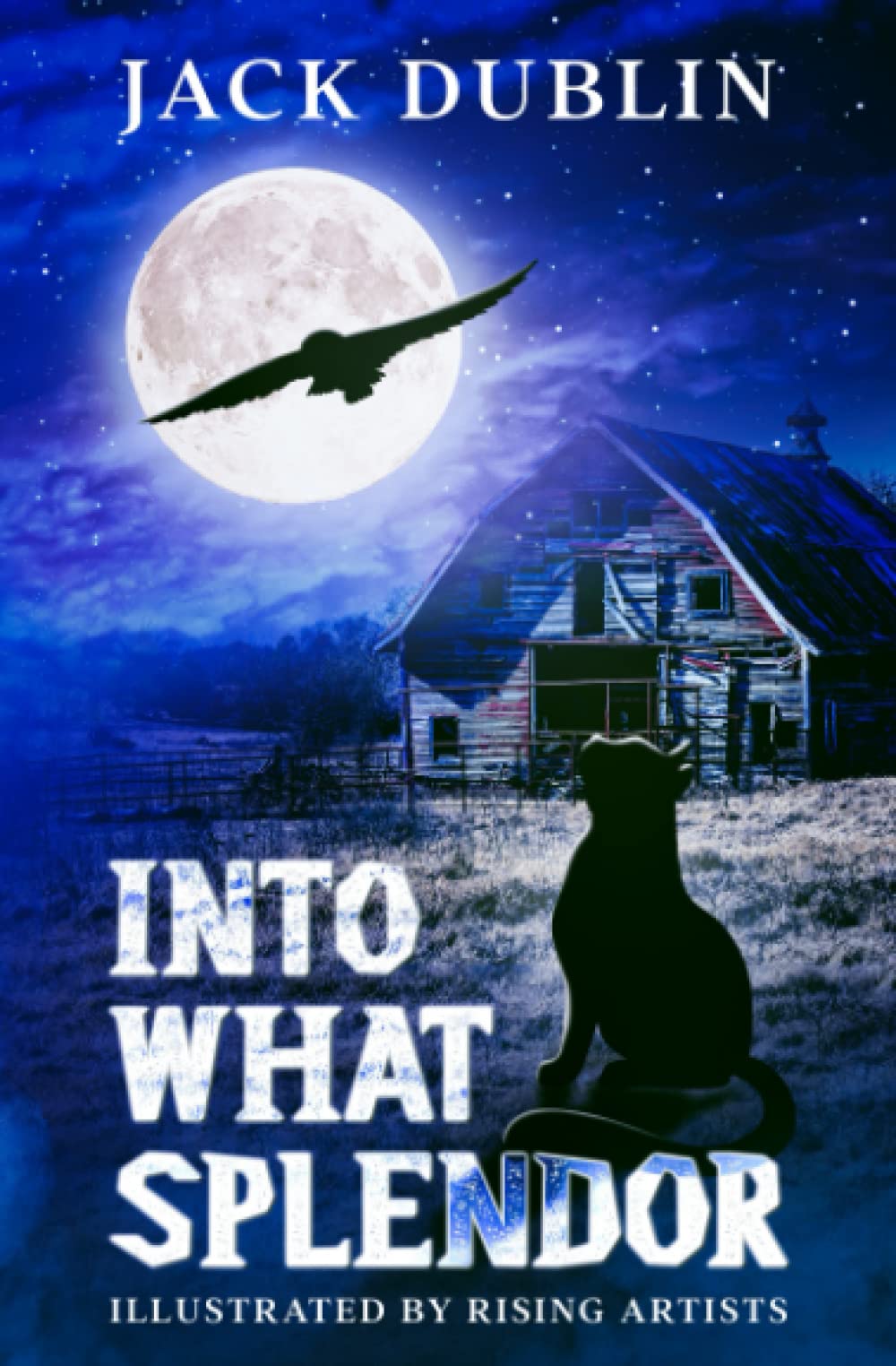 Into What Splendor: Dublin, Jack: 9781956623024: Amazon.com: Books