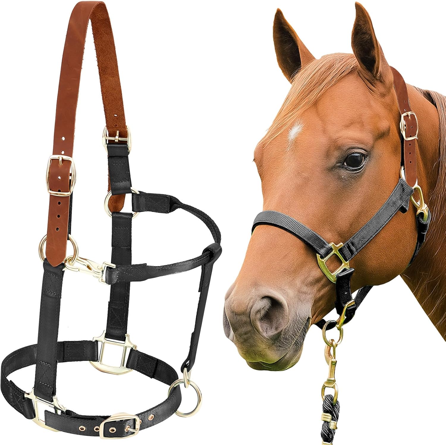 Amazon.com: Yeyeplum Leather Halter for Horses, Christmas Breakaway ...