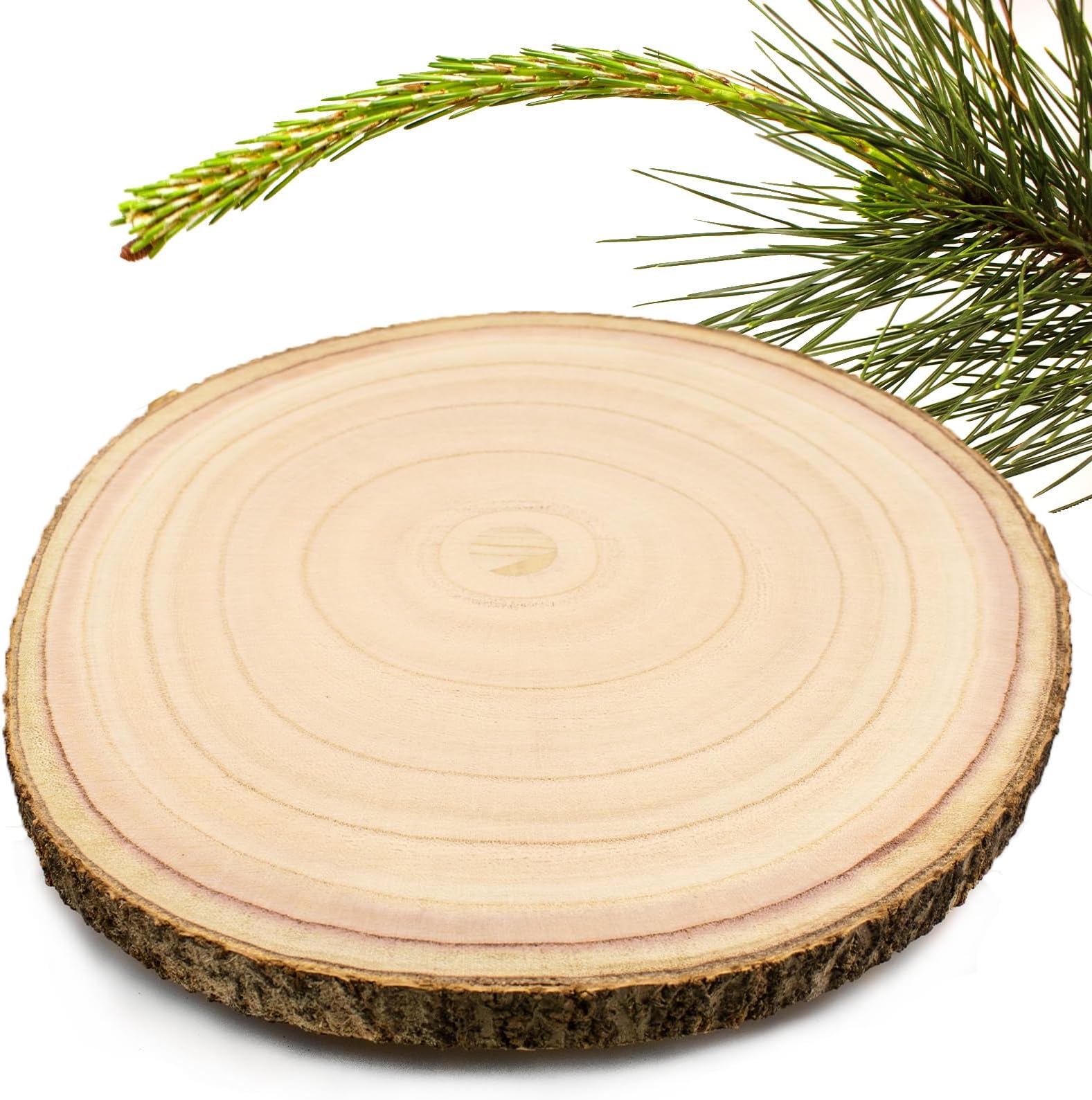 Amazon.com: Rigalit 8 Pieces of 8-9 Inches Wood Slices for Centerpieces ...