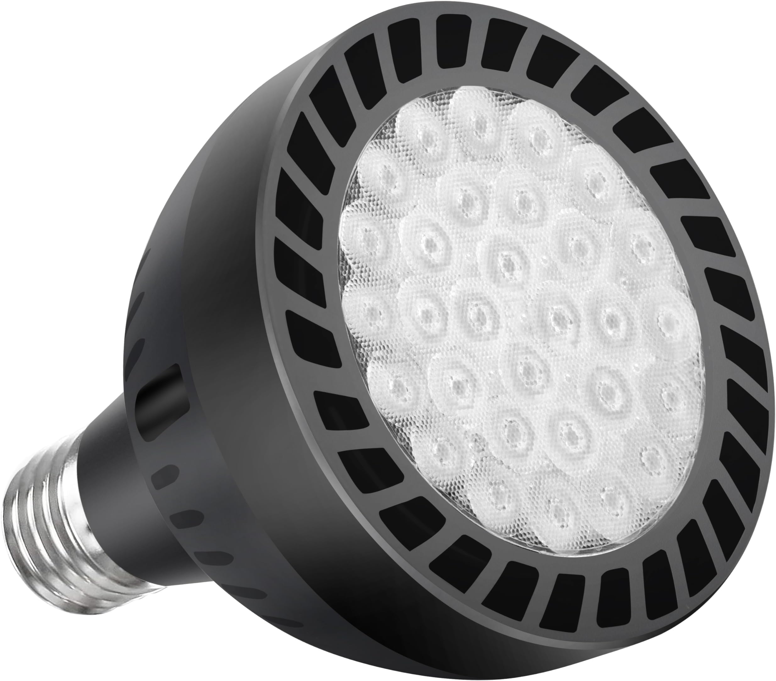 Amazon.com : 79102100 500-Watt 120-Volt Bulb Replacement for Pentair ...