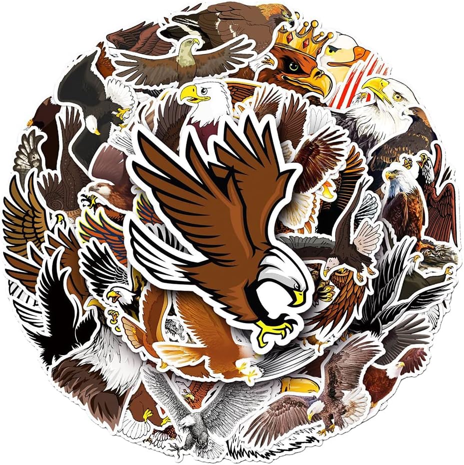Amazon.com: Hawk Stickers for Kids Girls Teens Boys, Vinyl Cartoon ...