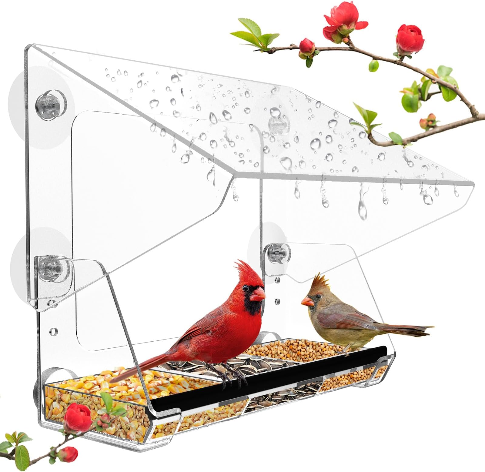 Amazon.com : ermete Window Bird Feeder with Strong Suction Cups, Large ...
