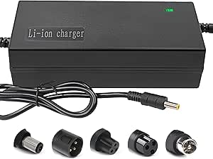 29.4V 42V 54.6V 58.8V 67.2V 84V 96.6V Li-ion battery multi-function charger 2A 5A with cooling ...