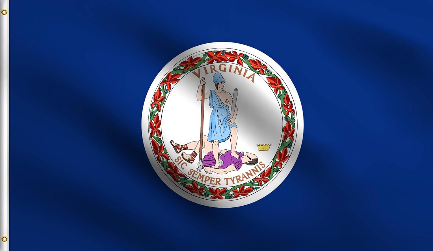 Amazon.com : DMSE Virginia State Flag 3X5 Ft Foot 100% Polyester 100D ...