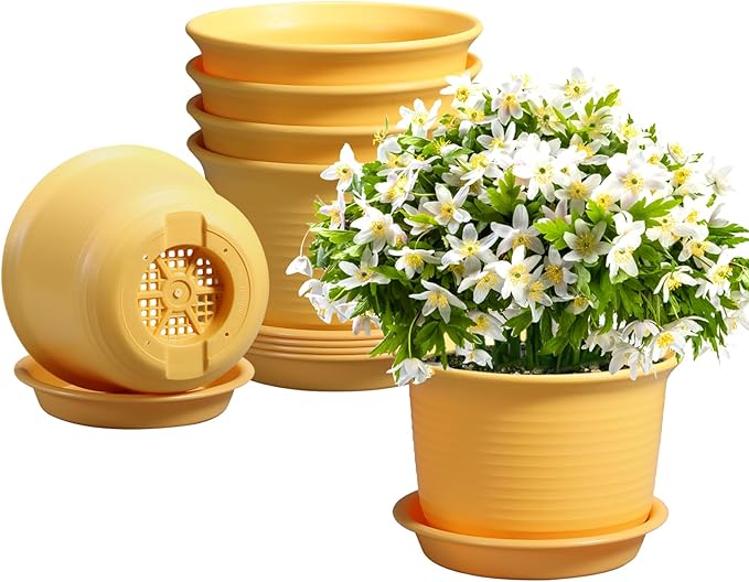 Amazon.com: Etvski 6 Pack Flower Pots for Indoor Plants, Plant Pots ...