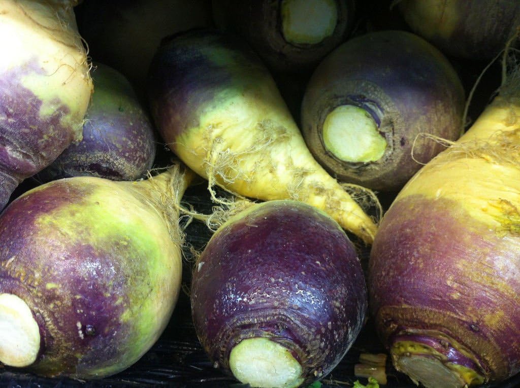Amazon.com: rutabaga, AMERICAN PURPLE TOP, 100 seeds : Patio, Lawn & Garden