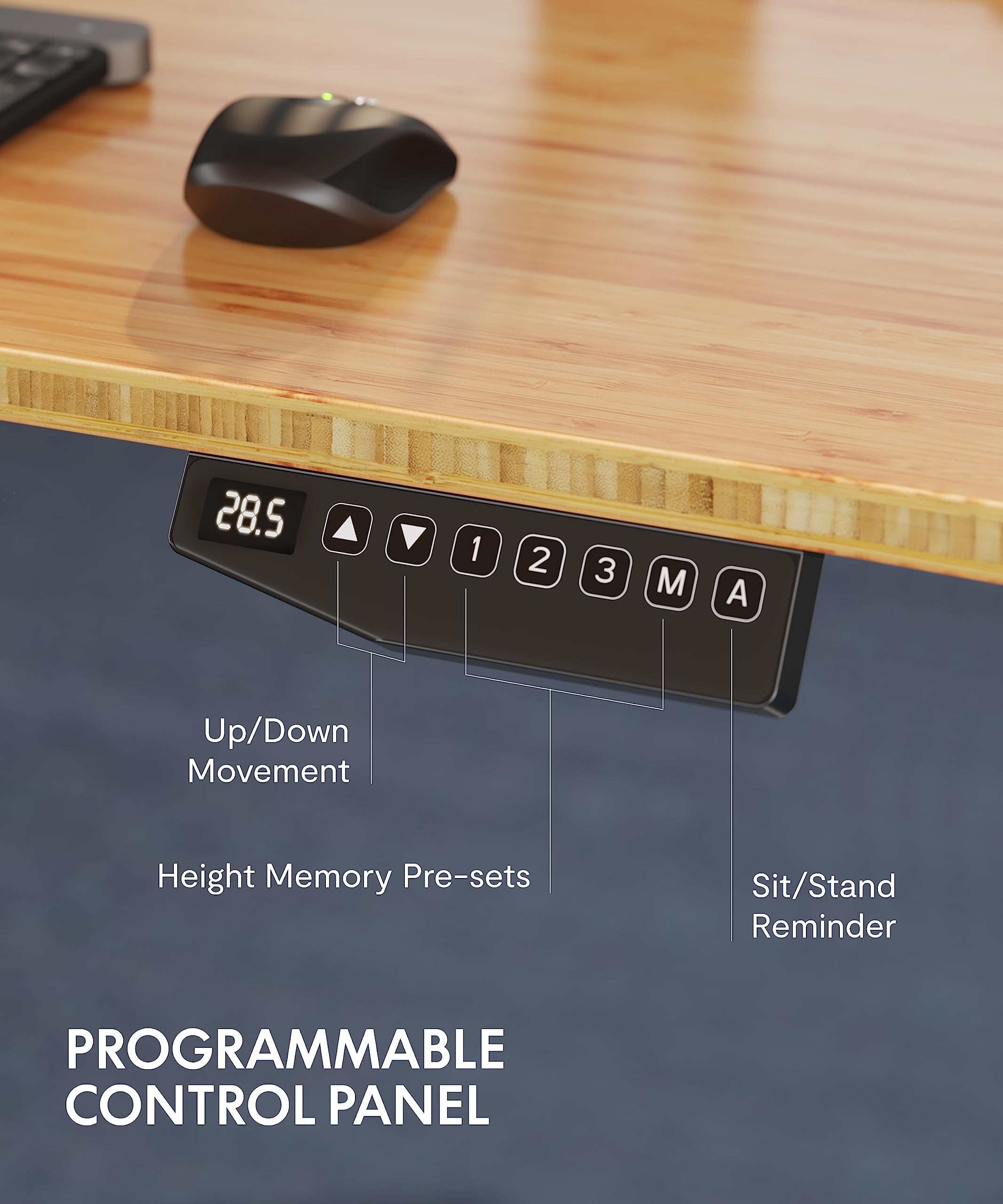 Snapklik.com : FLEXISPOT Pro Bamboo 3 Stages Dual Motor Electric ...